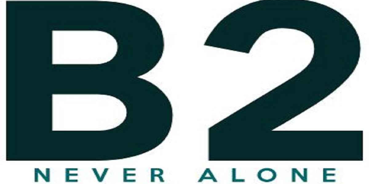 Products — B2